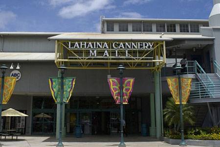 Lahaina Activities | A Perfect Vacation Rental
